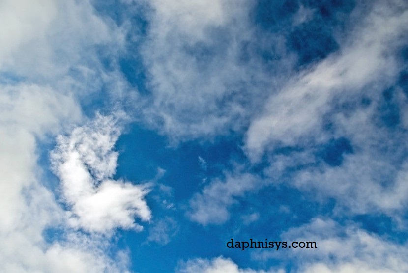 Cari Jawaban Materi Kelas 3 SD Tema 5, Sebutkan dan Jelaskan 4 Jenis ...